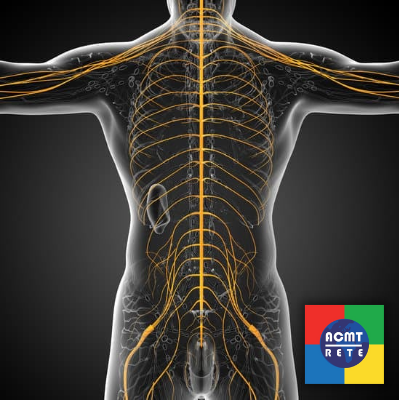 Le Neuropatie Periferiche | ACMT-Rete