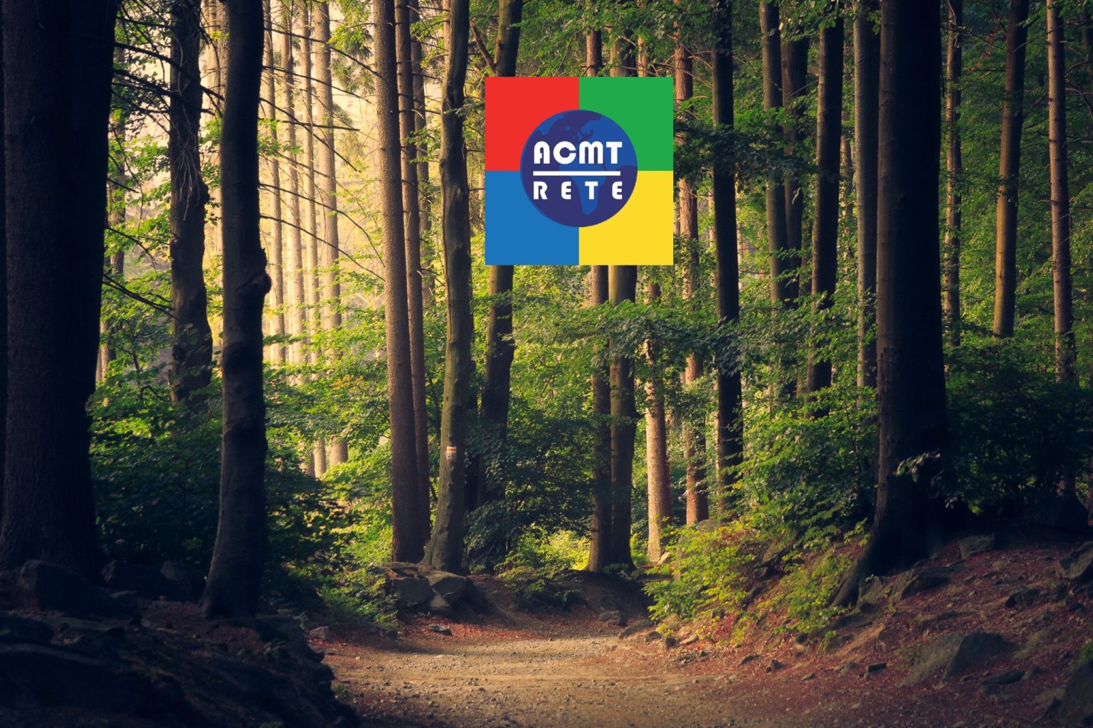 Yoga e Pilates nella Charcot-Marie-Tooth o CMT | ACMT-Rete